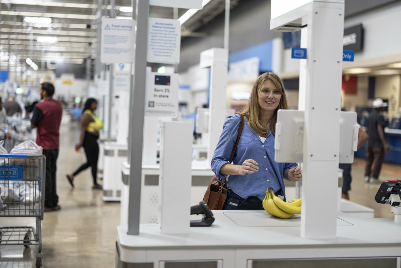 Phylum Collection | BRDG Studios